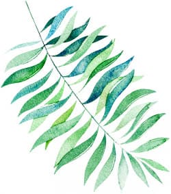 Luxury Oceanfront Retreat | Villa La Isla, Costa Rica