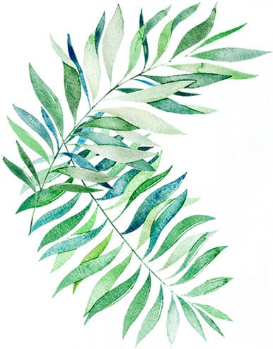 Luxury Oceanfront Retreat | Villa La Isla, Costa Rica