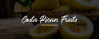 Exotic Costa Rican Fruits | A Guide to Tropical Delights