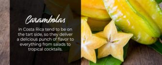 Exotic Costa Rican Fruits | A Guide to Tropical Delights