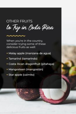 Exotic Costa Rican Fruits | A Guide to Tropical Delights